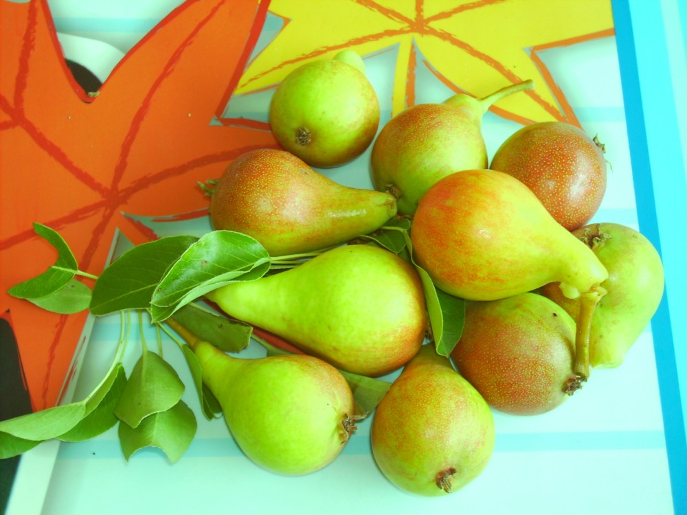 Macedonia – Wishful Thinking Works