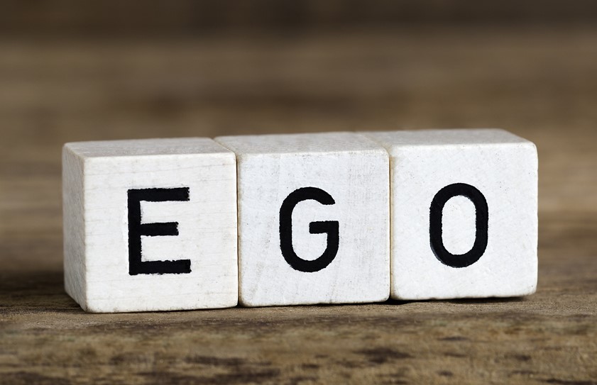 Are you on Ego-matic pilot? – Wishful Thinking Works