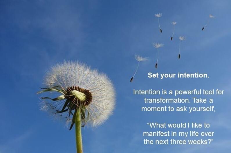 Setting intentions – Wishful Thinking Works