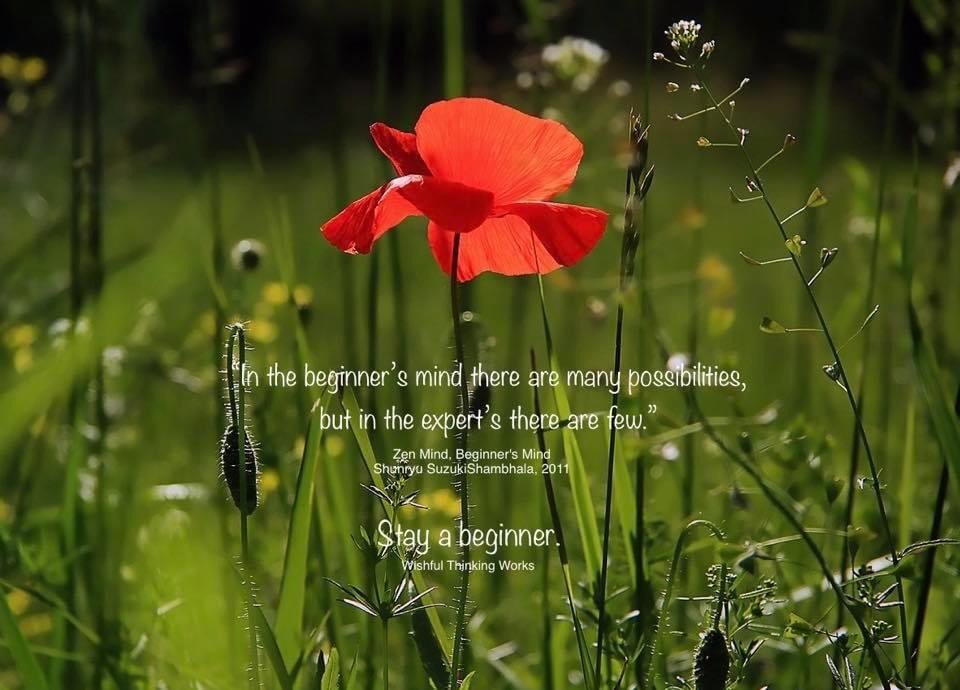 Cultivate a beginners’mind – Wishful Thinking Works